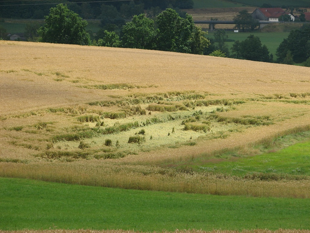 Schadensfotos bei Weiding am 07.07.2014