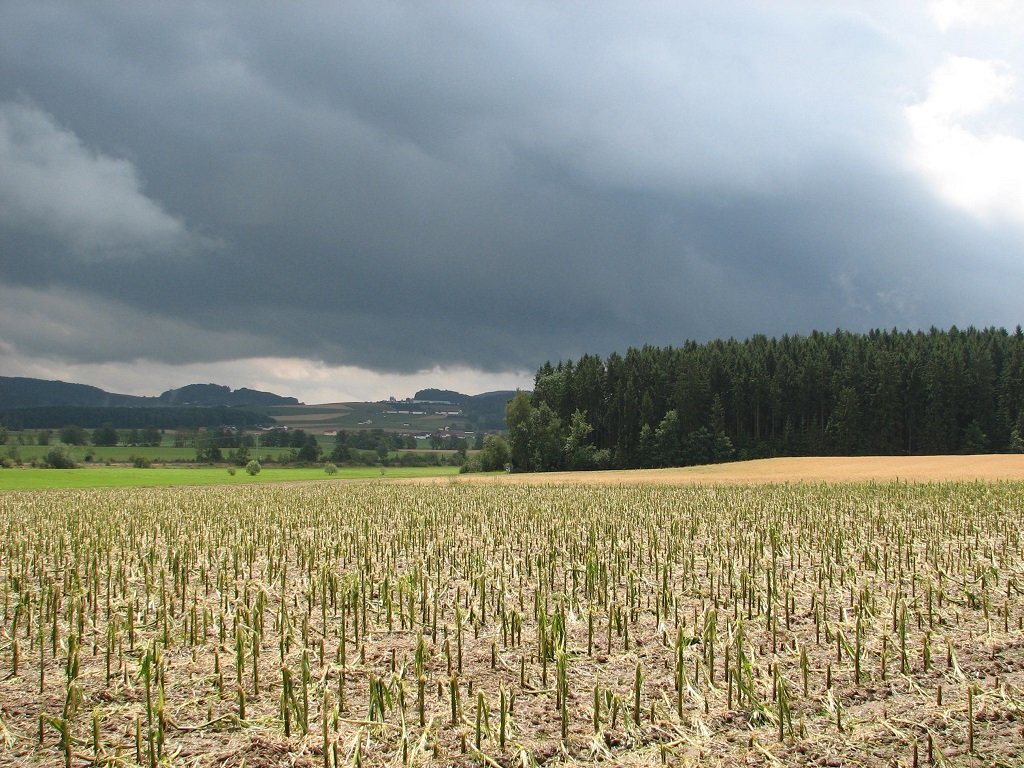 Schadensfotos bei Weiding am 07.07.2014
